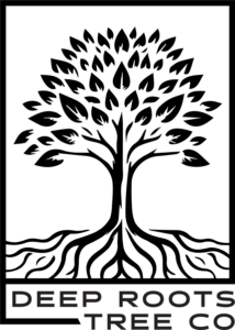 Deep Roots Tree Co. | Professional Tree Removal & Care Service