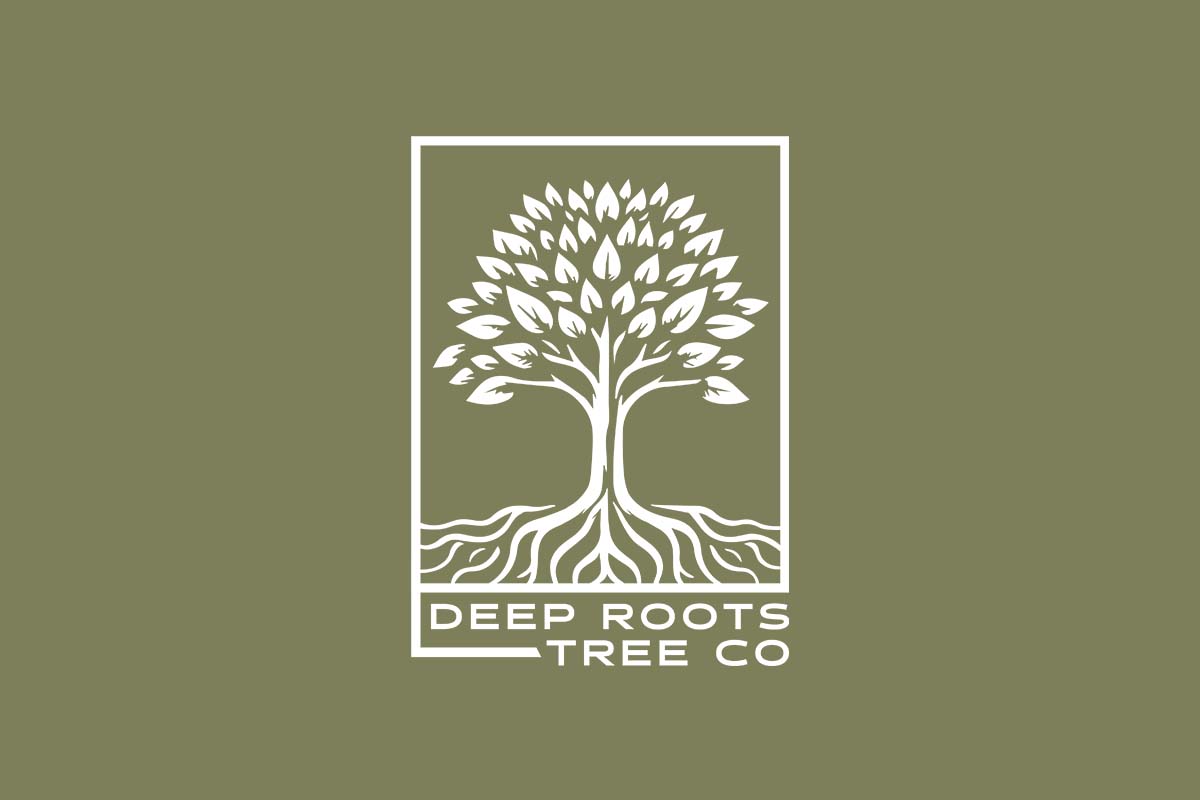 Deep Roots Tree Co | Black Hills Tree Removal & Care Service